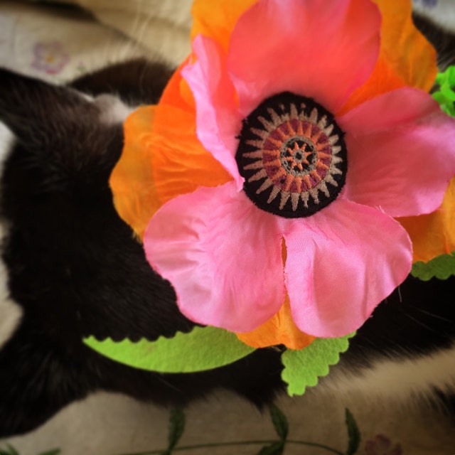 Stark Raving Cat Catnip Joints hip gifts for by StarkRavingCat