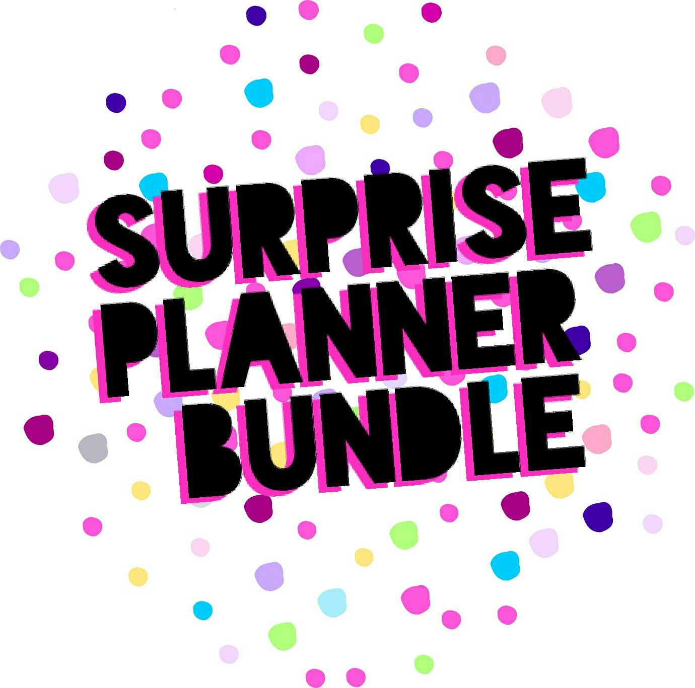 Surprise planner bundle