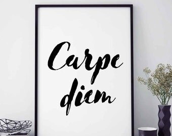 Carpe diem sign | Etsy