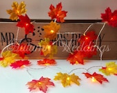 String lights | Etsy