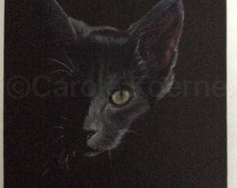 Paul Strand Photo Porch Shadows 1915