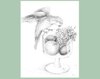 Quaker parrot | Etsy