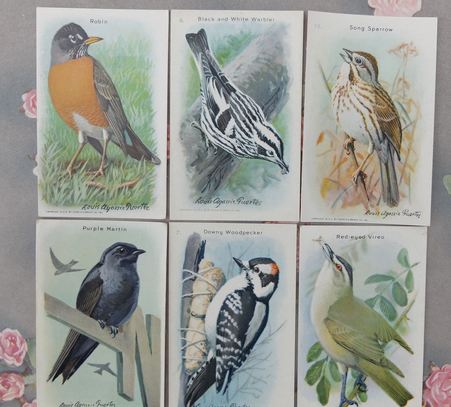 Vintage Bird Ephemera Trading Cards Birds from ohmymilky on Etsy Studio