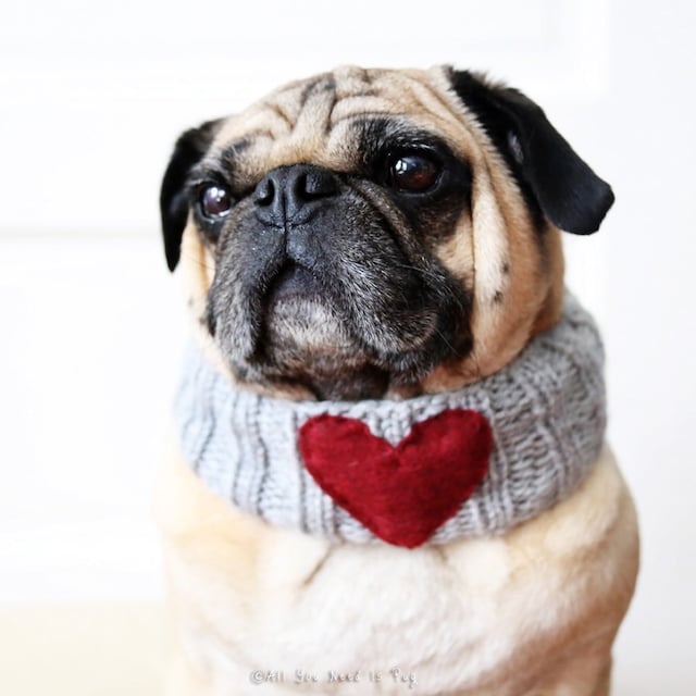 All You Need is Pug: Dog Hats Pug Hats and by AllYouNeedIsPugShop