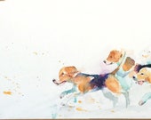 Jen Buckley Art. limited edition animal art by JenBuckleyArt