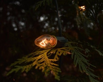 Items similar to Lights from tree trunks on Etsy