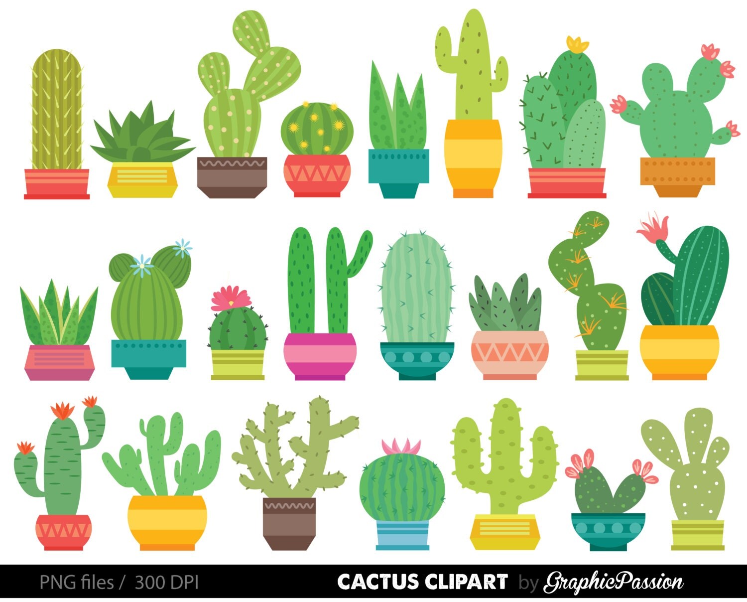 Cactus Clipart from GraphicPassion on Etsy Studio
