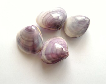 Items similar to Purple Shells Lariat Style Necklace, Long Length ...