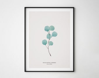 Eucalyptus leaves | Etsy