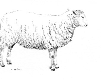 Sheep sketch | Etsy