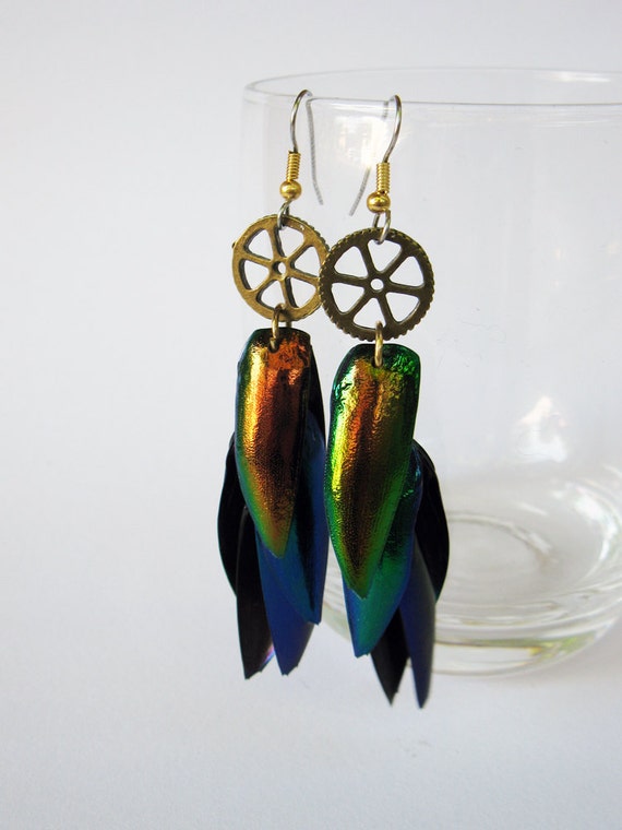 real elytra jewel beetle wing cases