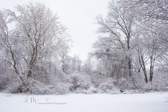 Digital Winter Backdrop of Snow scene.