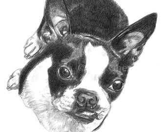 Custom pet drawing | Etsy