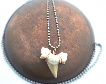 Shark tooth jewelry | Etsy