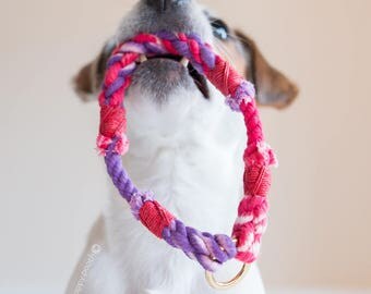 Rope dog collar | Etsy