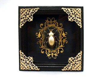 Real framed spiders and insects by TarantulaBox on Etsy