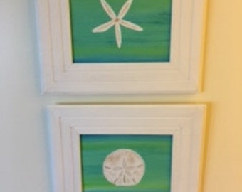 Sand dollar painting | Etsy