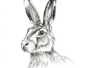 Hare drawing | Etsy