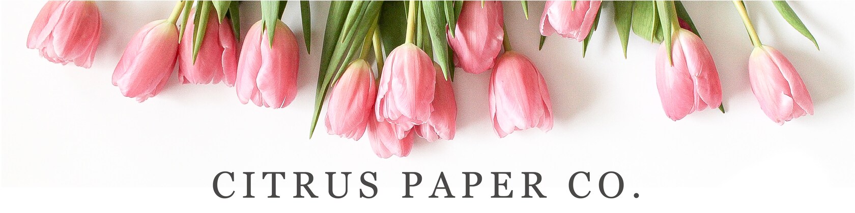 Citrus Paper Co. by CitrusPaperCo on Etsy