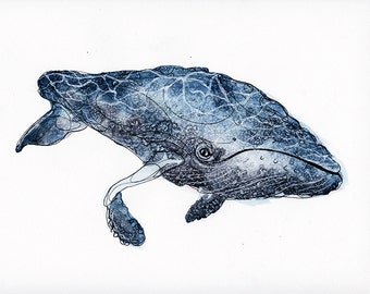 Walvis tekening | Etsy