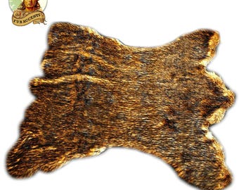 Bear skin rug | Etsy