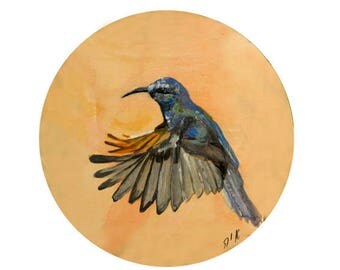 Sunbird | Etsy