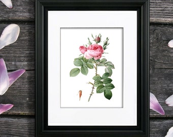 Rose artwork | Etsy