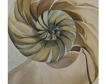 Nautilus shell art | Etsy
