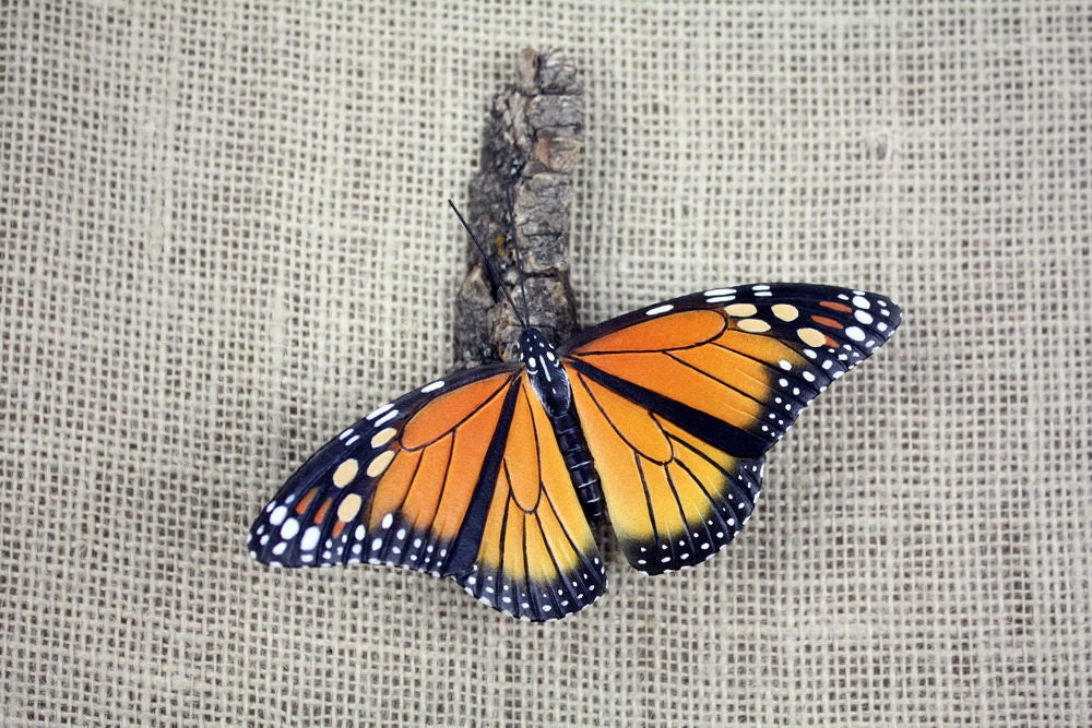 Monarch Butterfly Wood Carving Hand Carved by Mike Berlin