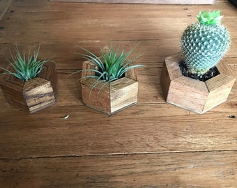 Air plant pot | Etsy