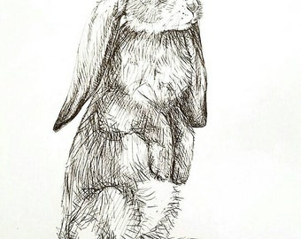 Bunny sketch | Etsy
