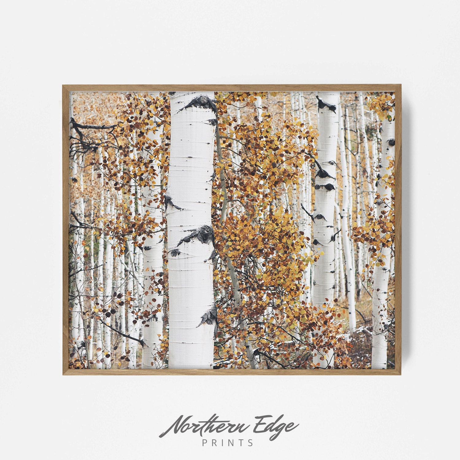 birch tree print birch tree art birch wall art birch