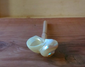 Unique seashell pipe related items | Etsy