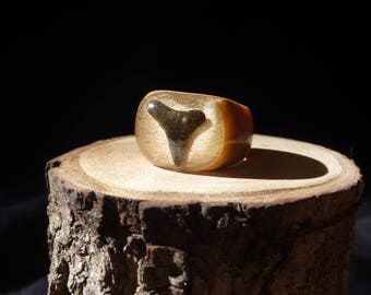 Shark tooth ring | Etsy
