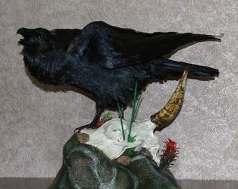 Stuffed raven | Etsy