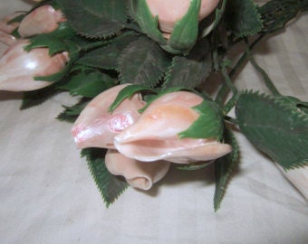 Sea shell roses | Etsy