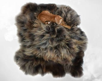 Eco Friendly Cruelty Free Felted Wool Cat Beds & by CatsLoveEwe