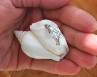 Seashell ring box | Etsy