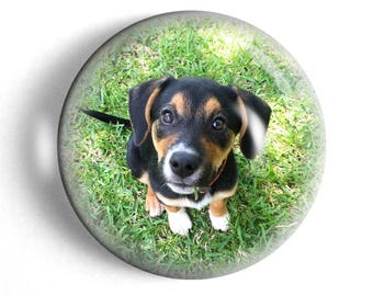 Dog paperweight | Etsy