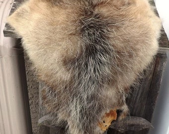 Opossum fur | Etsy
