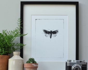 Moth print | Etsy