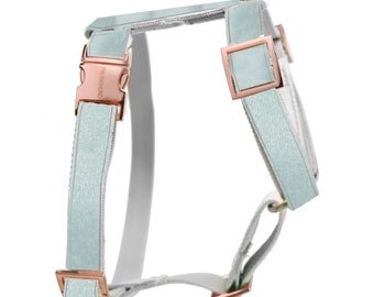 Items similar to Dachshund small dog harness sewing pattern with leash ...