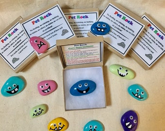 Pet rock gift | Etsy