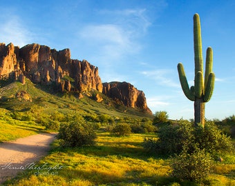 Arizona Photo Peralta Orange yellow AZ Phoenix Saguaro