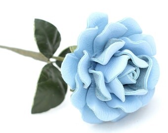 Blue rose long stem | Etsy