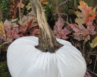 Pumpkin stems | Etsy
