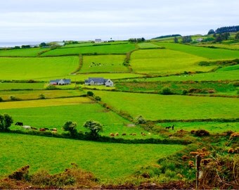 Countryside | Etsy