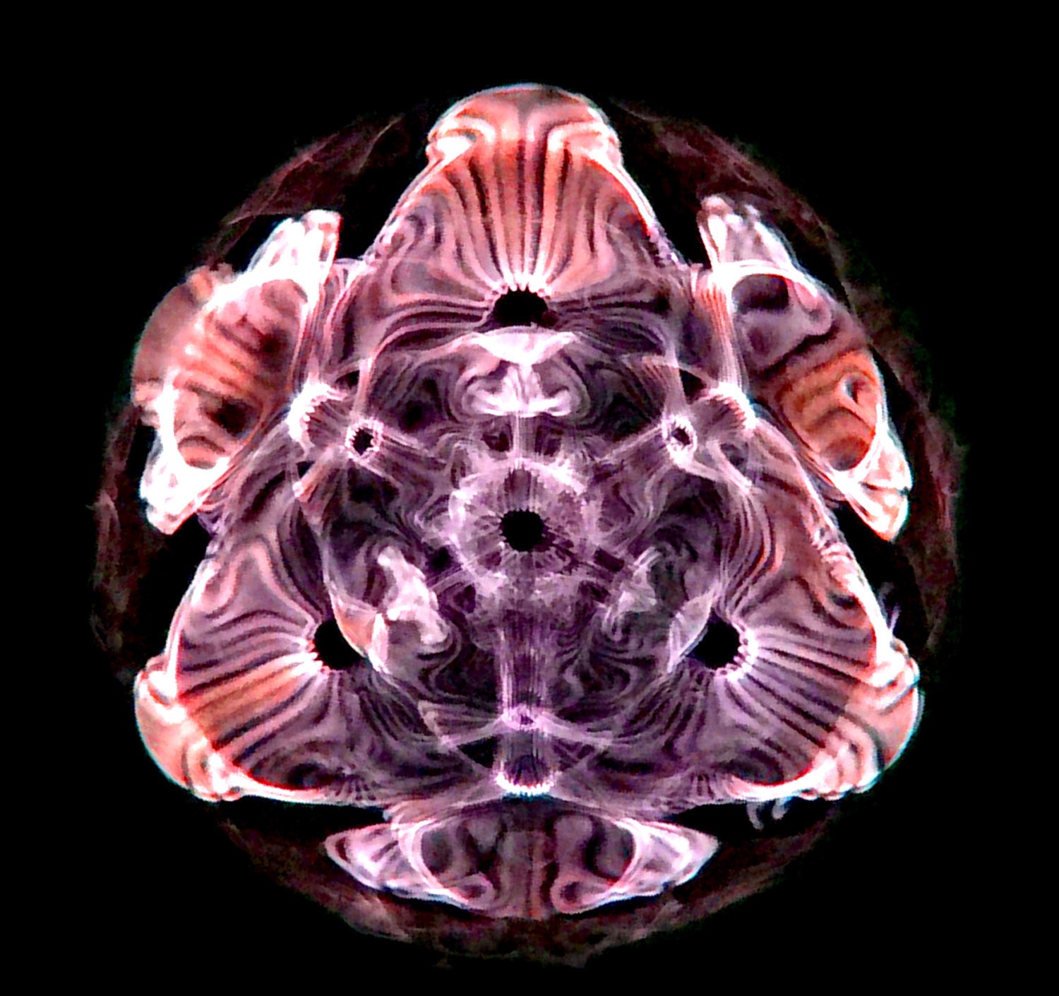 Cymatic Images Original Photography by Thomas B. Carsecka