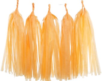 Paper Garland Shiny Silver Tinsel Tissue Paper Tassel Set of