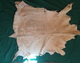 Animal skin rugs | Etsy